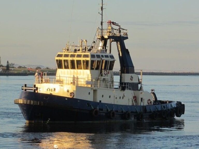 Damen ASD TUG 2913 - Ship Technology