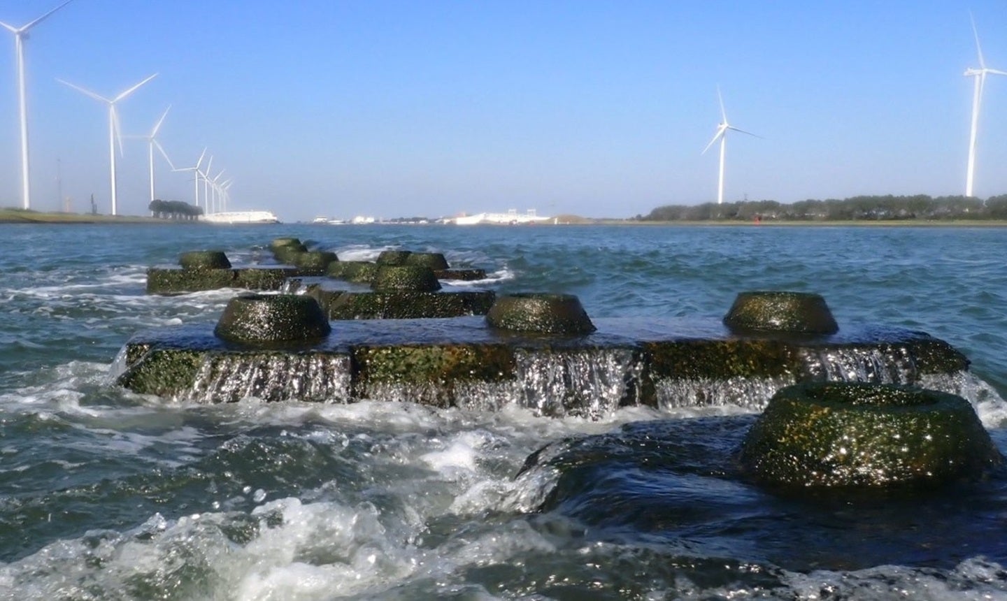 Reefblocks installed by Reefy on "Rotterdam Reef"